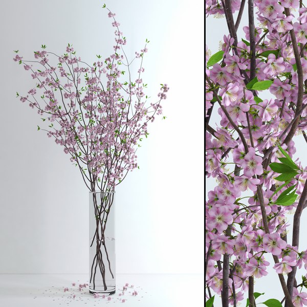 Cherry Tree 3D Models for Download | TurboSquid