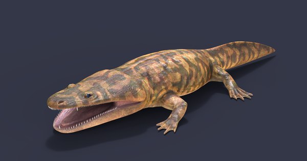 modelo 3d Metoposaurus - TurboSquid 1504900