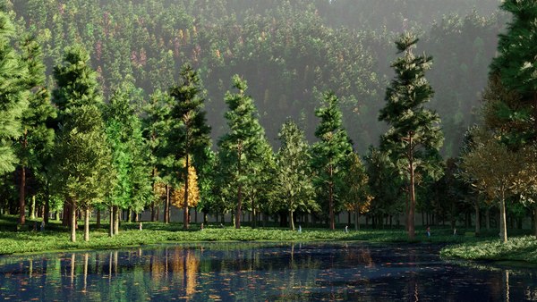 pond 3d model