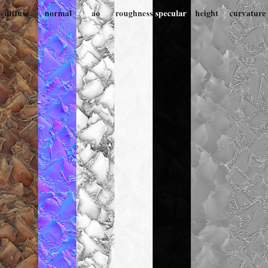 Washingtonia Palm PBR Tiled Texture 8K 3D Model - TurboSquid 2308451