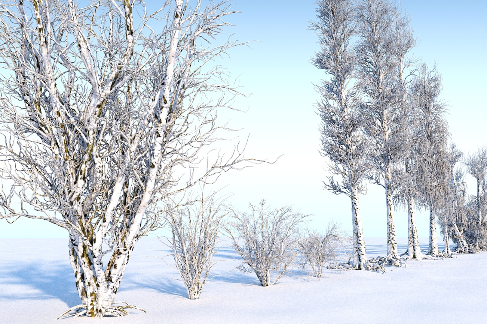Winter Trees Hd Pack 3D Model - TurboSquid 1351517