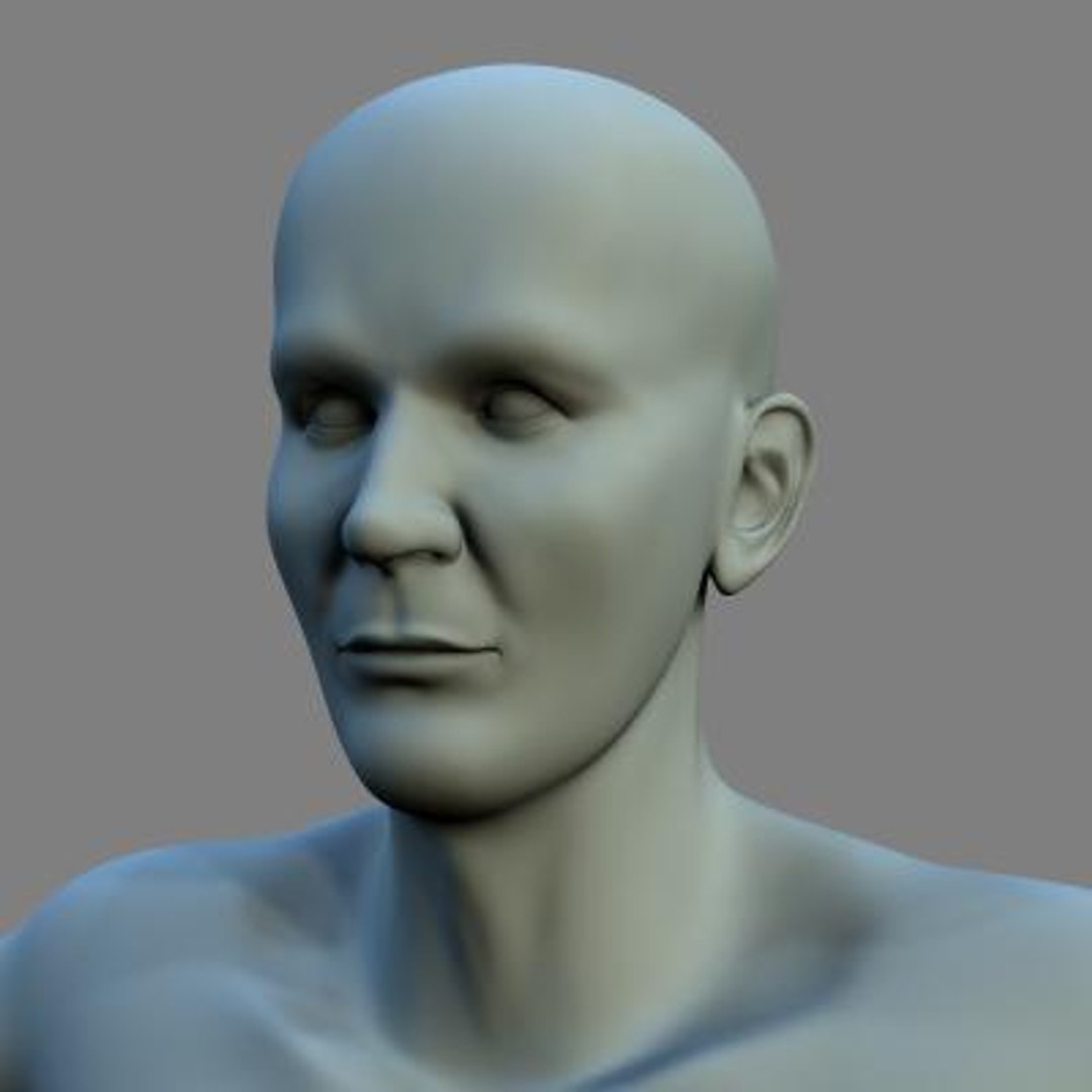 human male 3d model