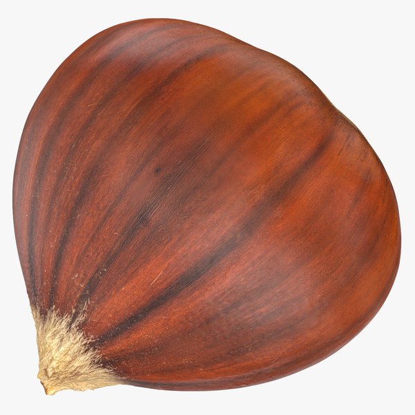 Chestnut 3D Models for Download | TurboSquid