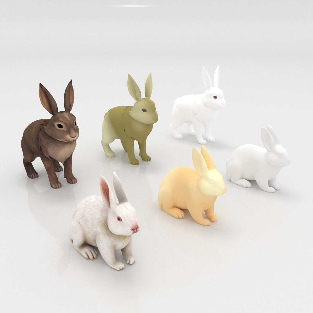 3D Rabbit Animal Mammal Model - TurboSquid 1431892