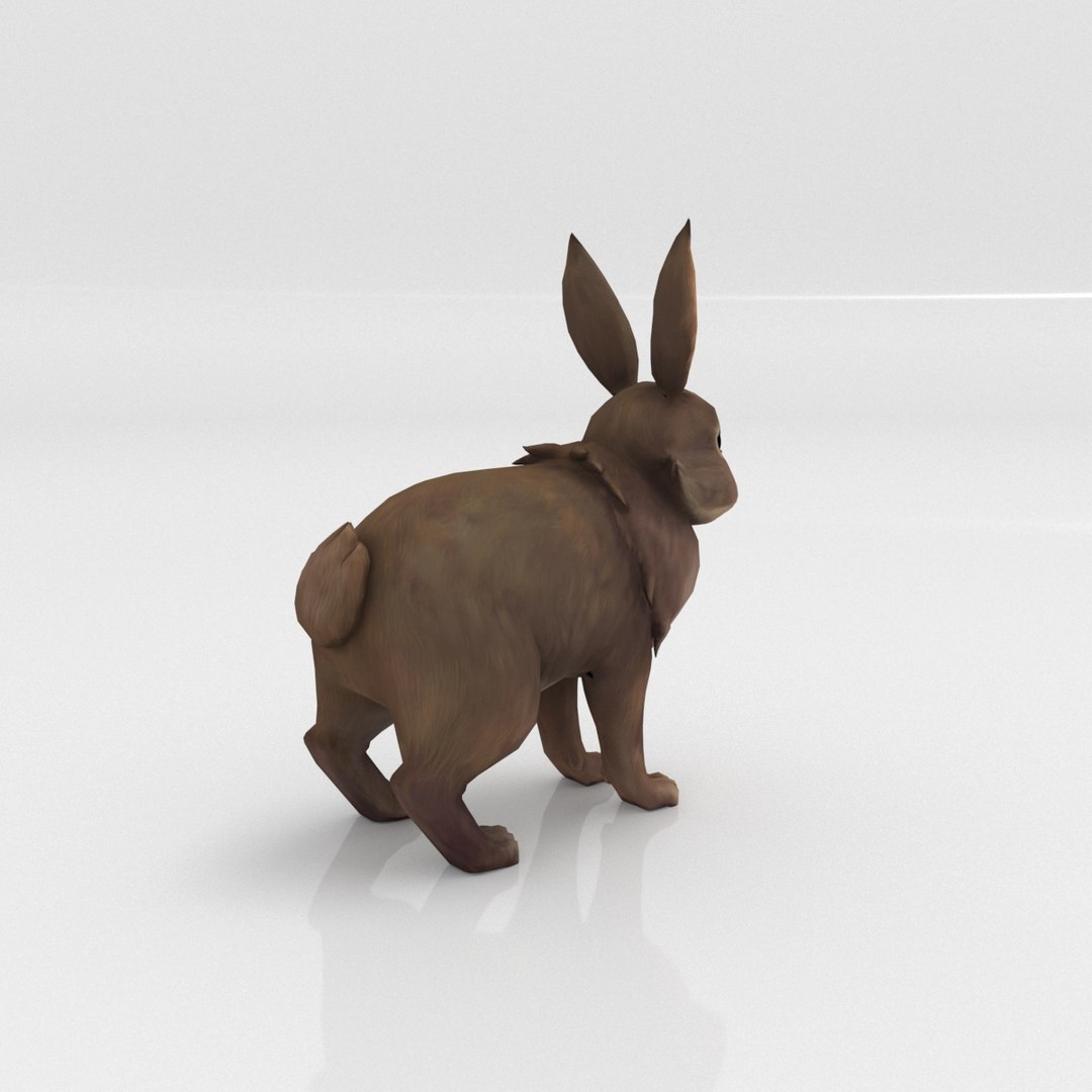 3D Rabbit Animal Mammal Model - TurboSquid 1431892
