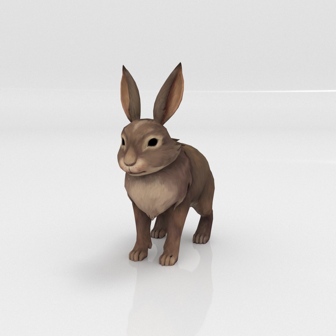 3D Rabbit Animal Mammal Model - TurboSquid 1431892