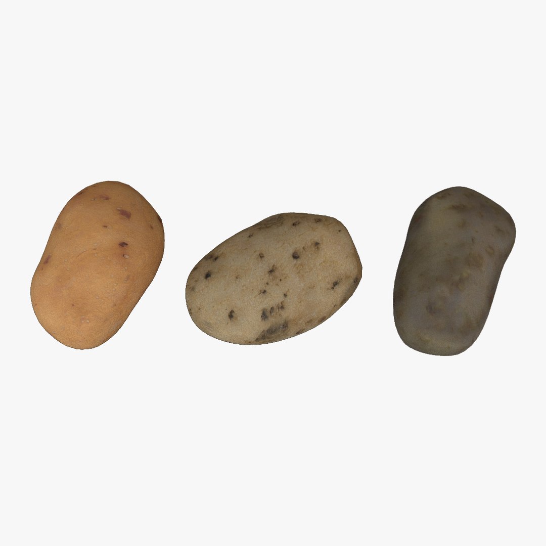 3D Model Potato - TurboSquid 2101536