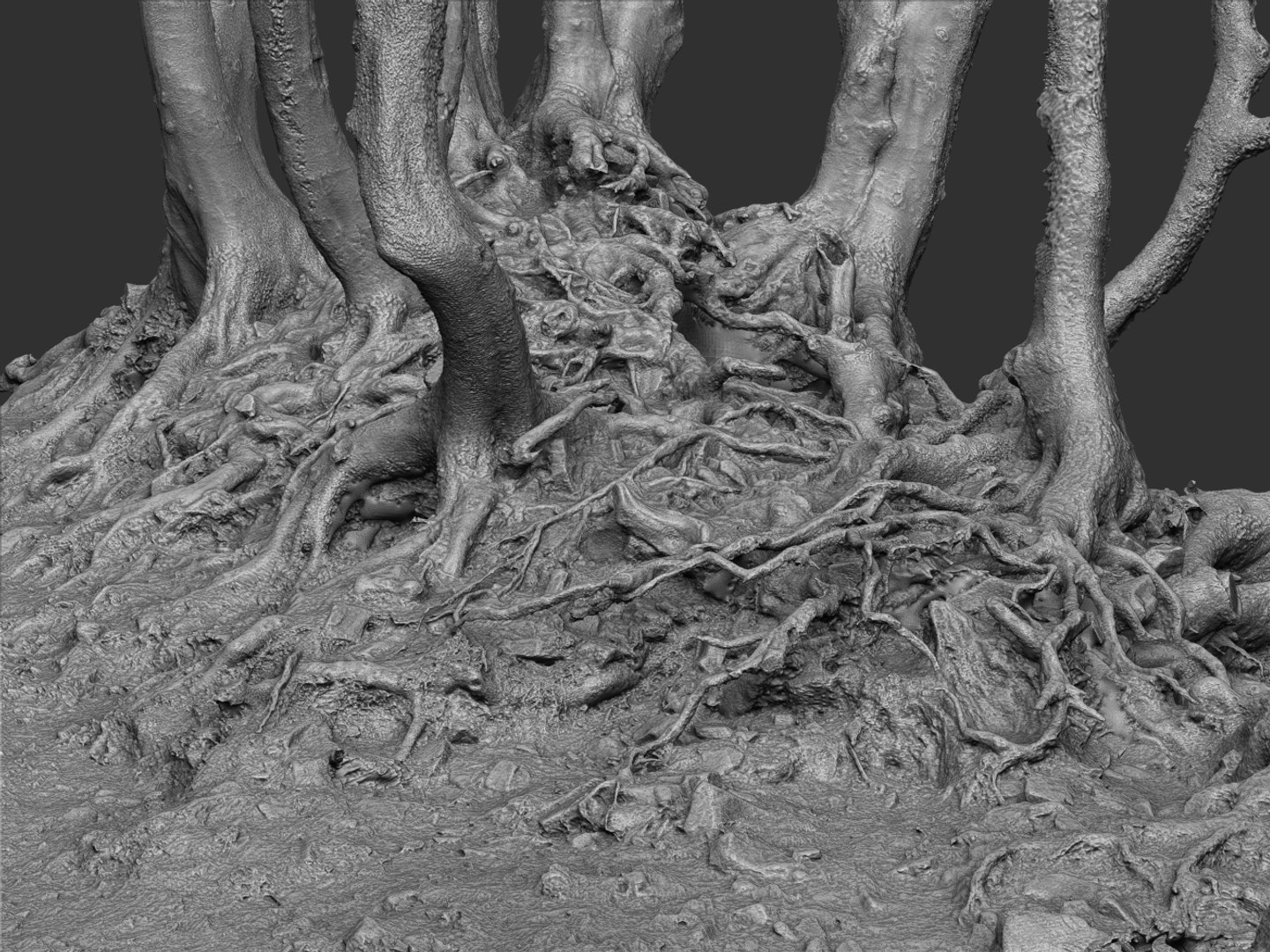 3d Model Real Forest Ultra Hd