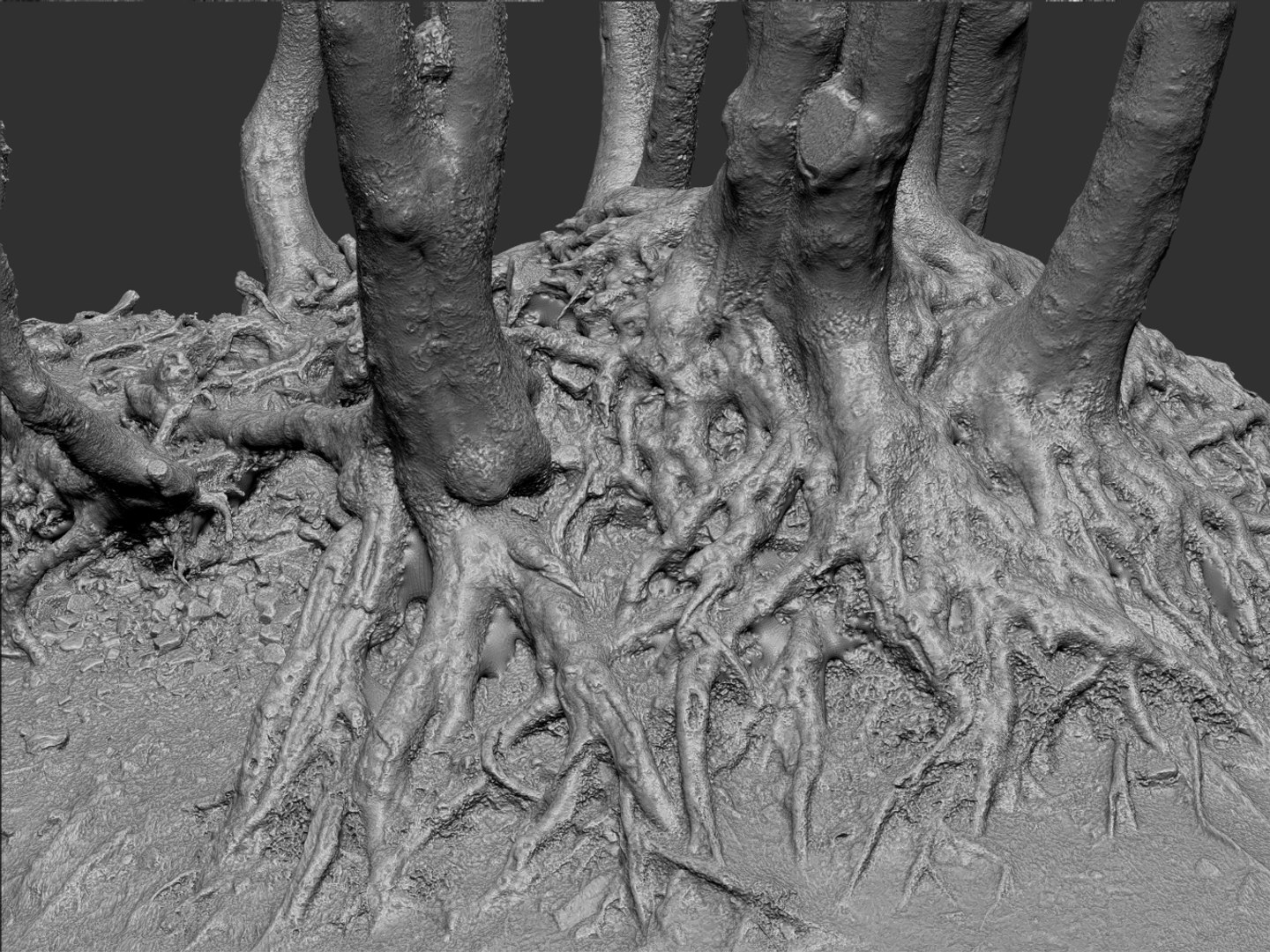 3d Model Real Forest Ultra Hd