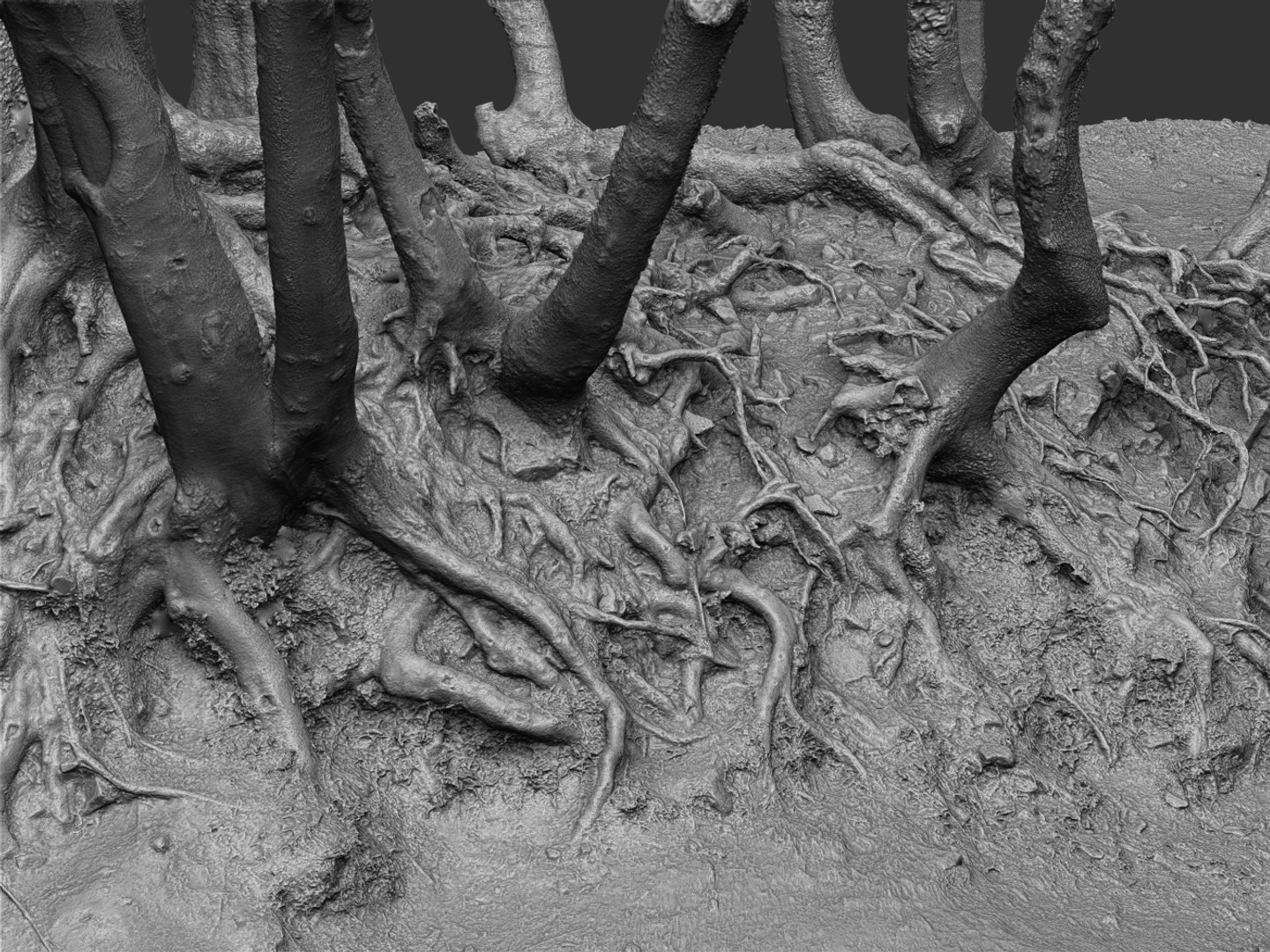 3d model real forest ultra hd