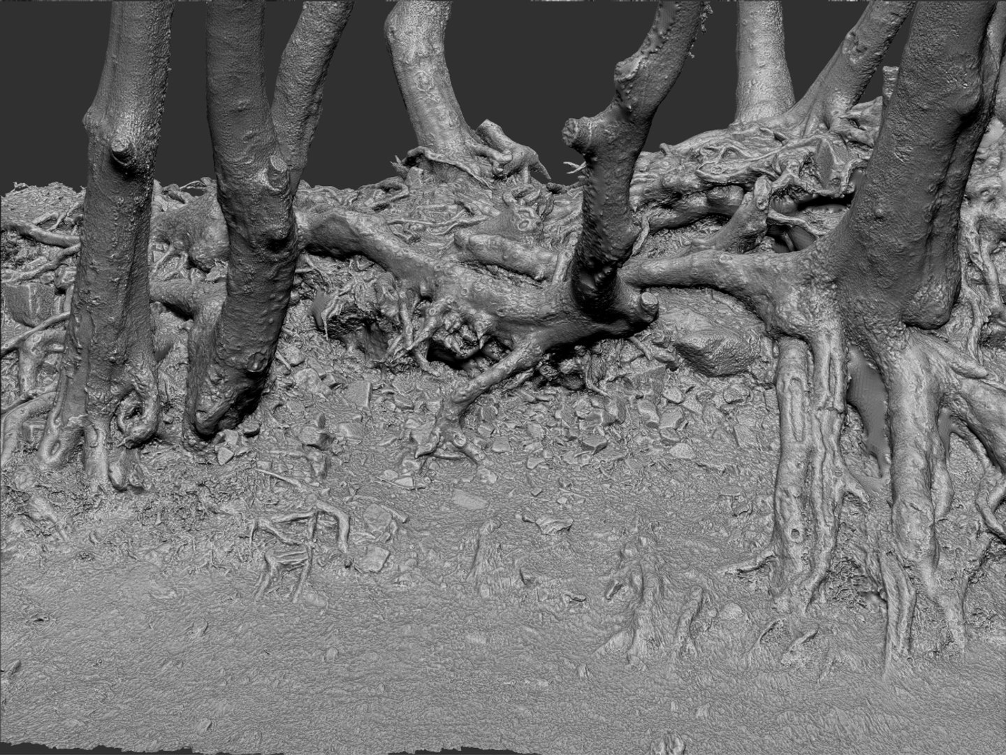 3d Model Real Forest Ultra Hd