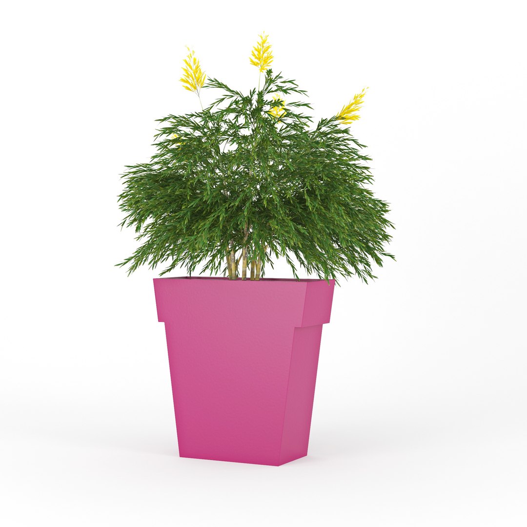 Plant 3D model - TurboSquid 1316645