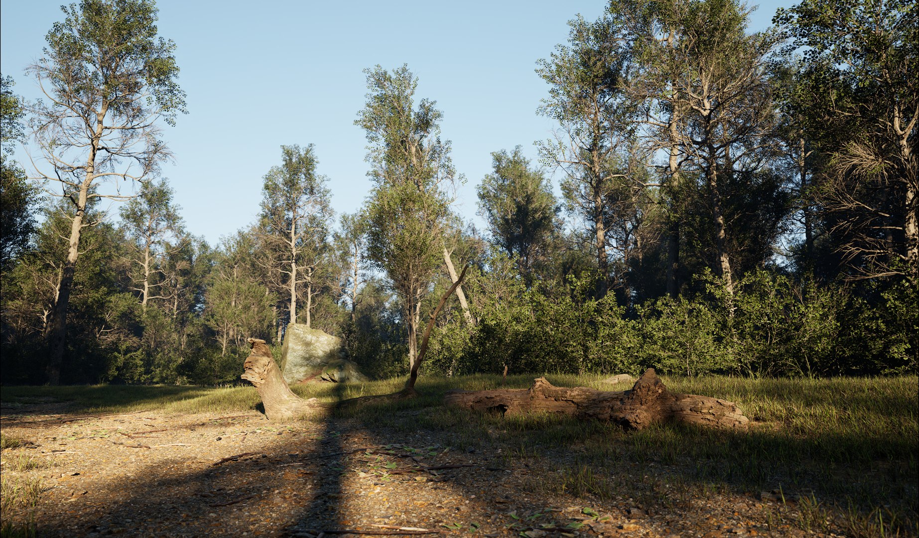 3D The Forest - Unreal Engine 5 Model - TurboSquid 2057792