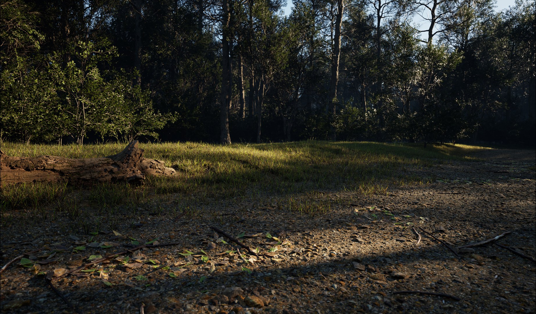 3D The Forest - Unreal Engine 5 Model - TurboSquid 2057792