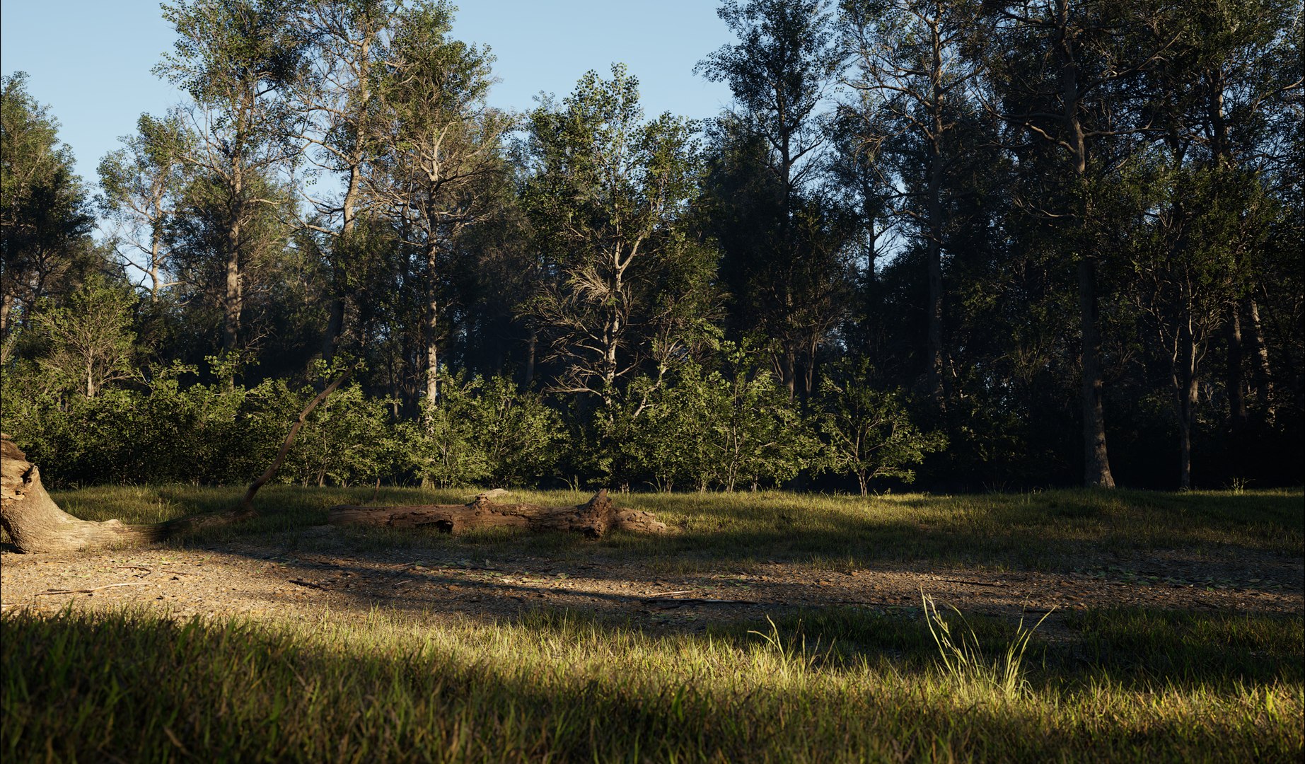 3D The Forest - Unreal Engine 5 Model - TurboSquid 2057792