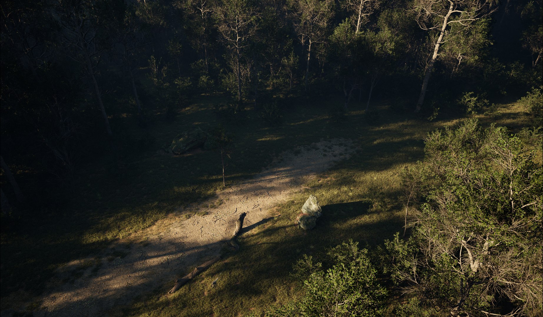 3D The Forest - Unreal Engine 5 Model - TurboSquid 2057792