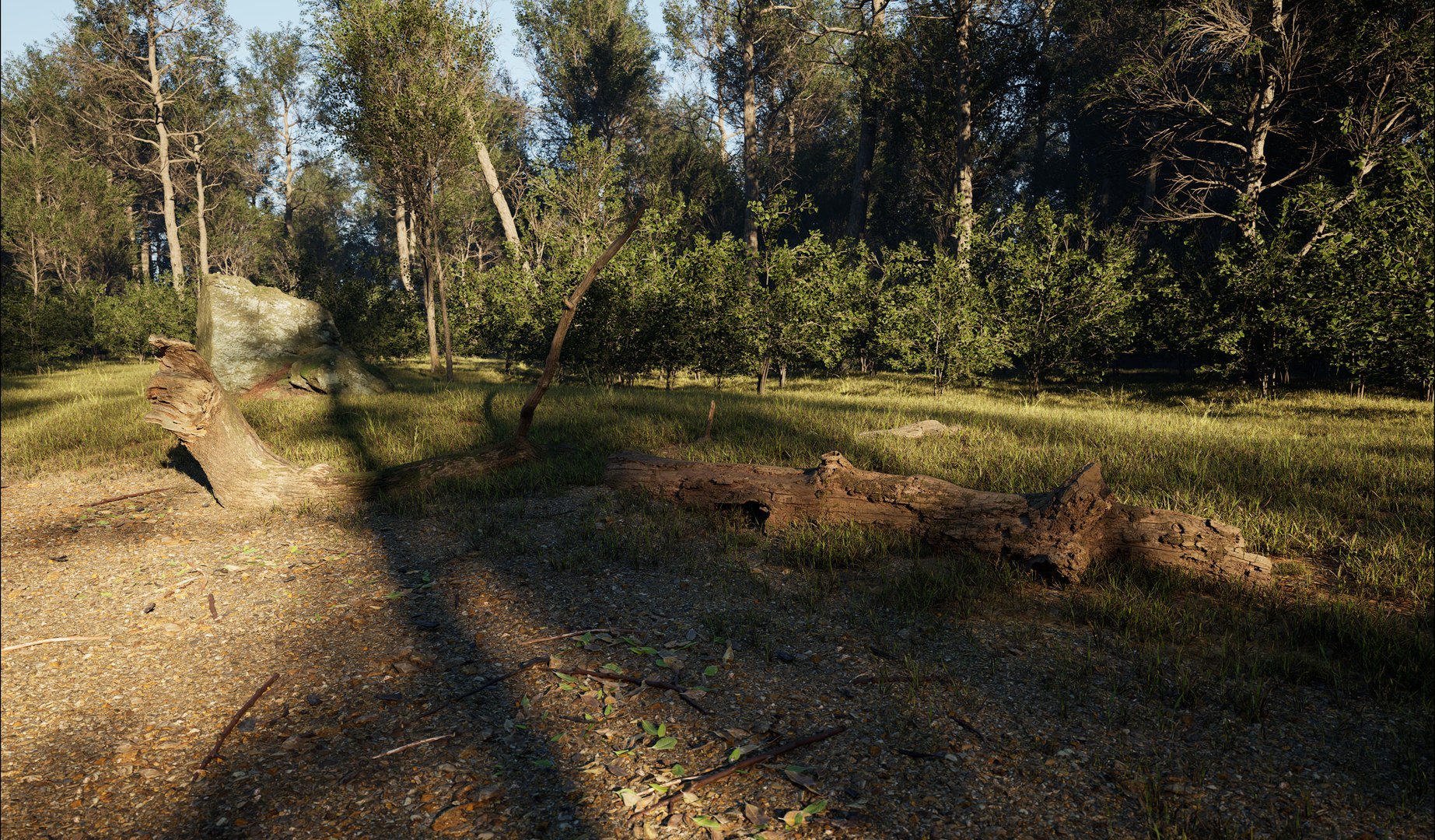3D The Forest - Unreal Engine 5 Model - TurboSquid 2057792