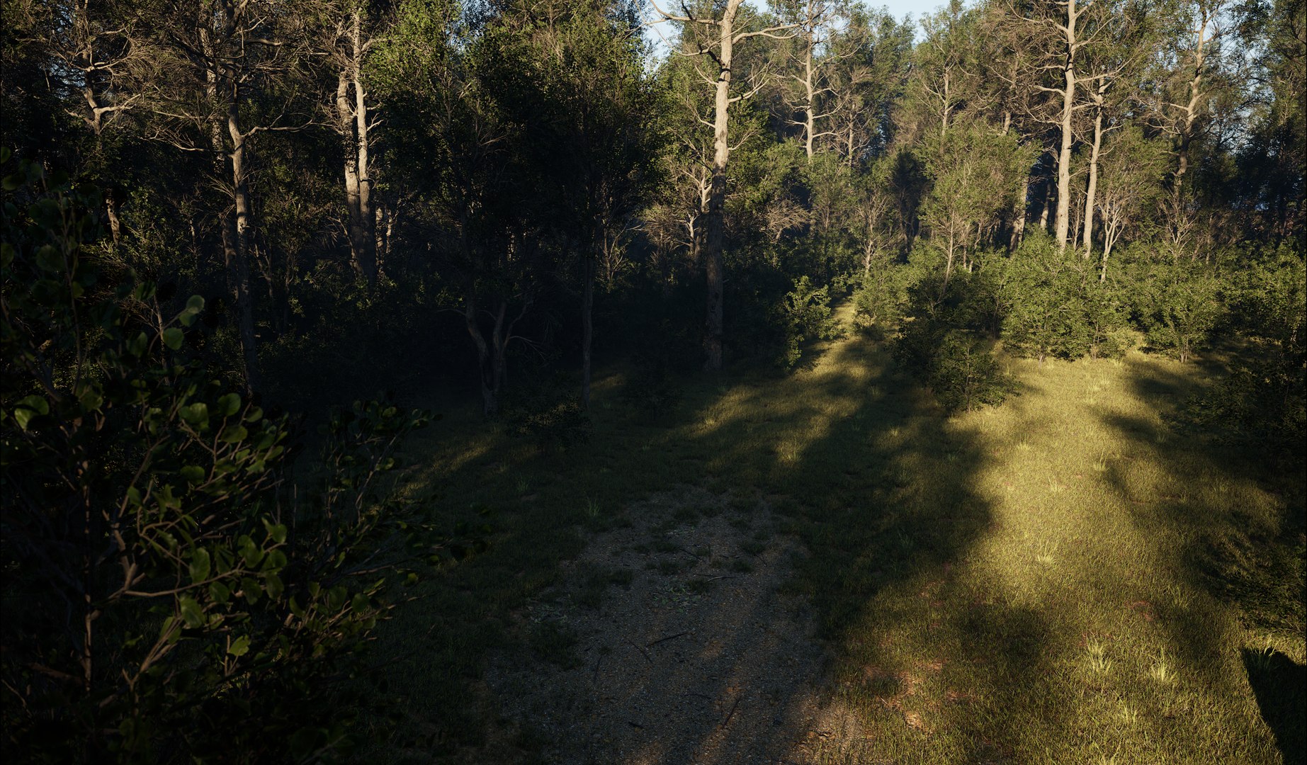 3D The Forest - Unreal Engine 5 Model - TurboSquid 2057792
