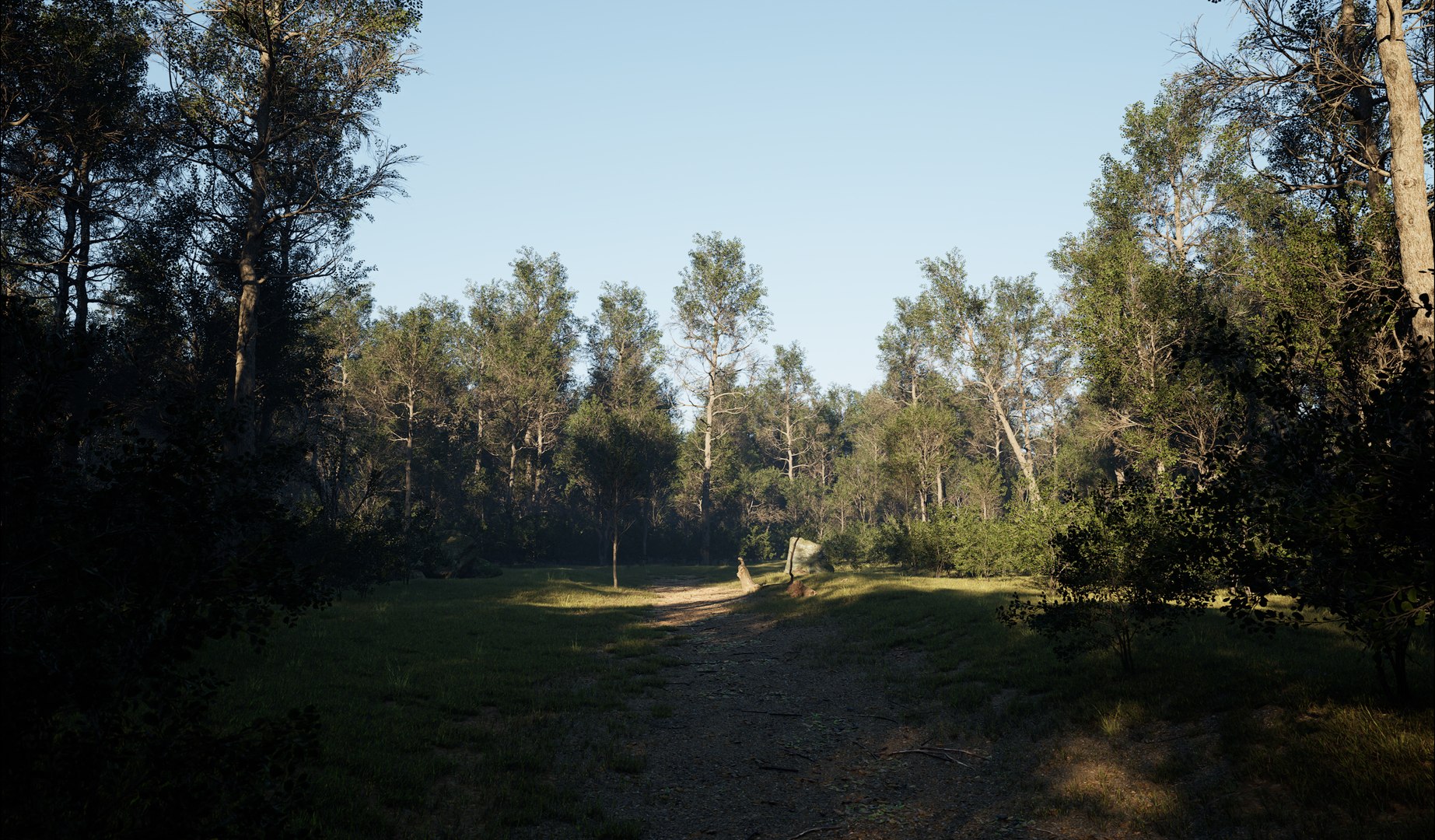 3D The Forest - Unreal Engine 5 Model - TurboSquid 2057792