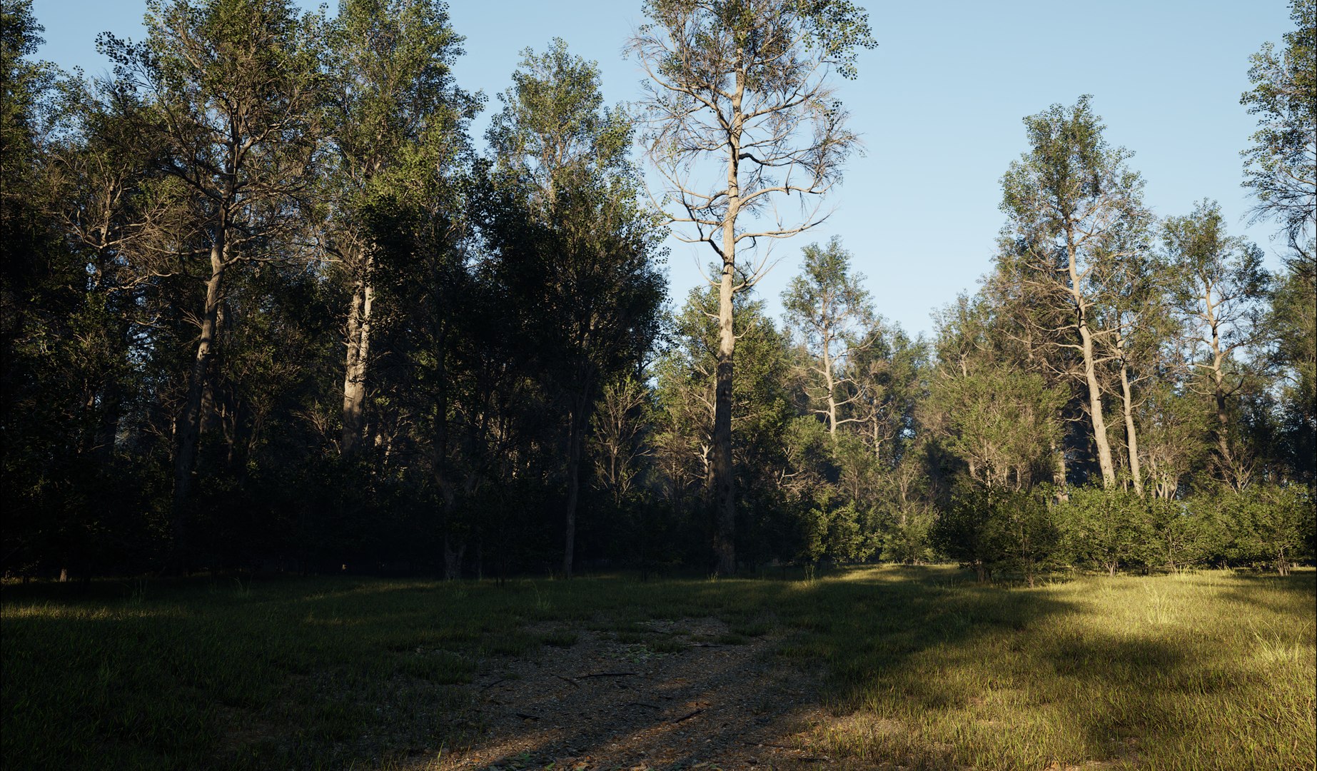 3D The Forest - Unreal Engine 5 Model - TurboSquid 2057792