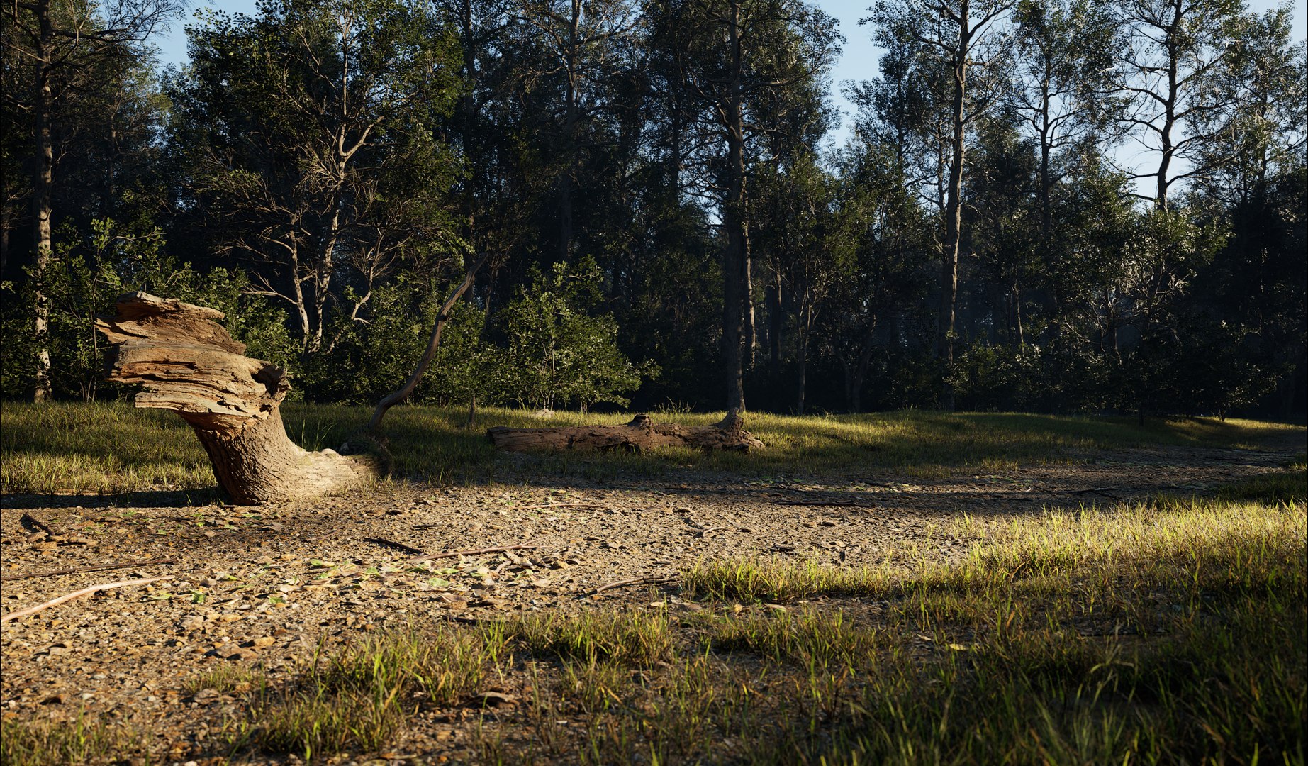 3D The Forest - Unreal Engine 5 Model - TurboSquid 2057792