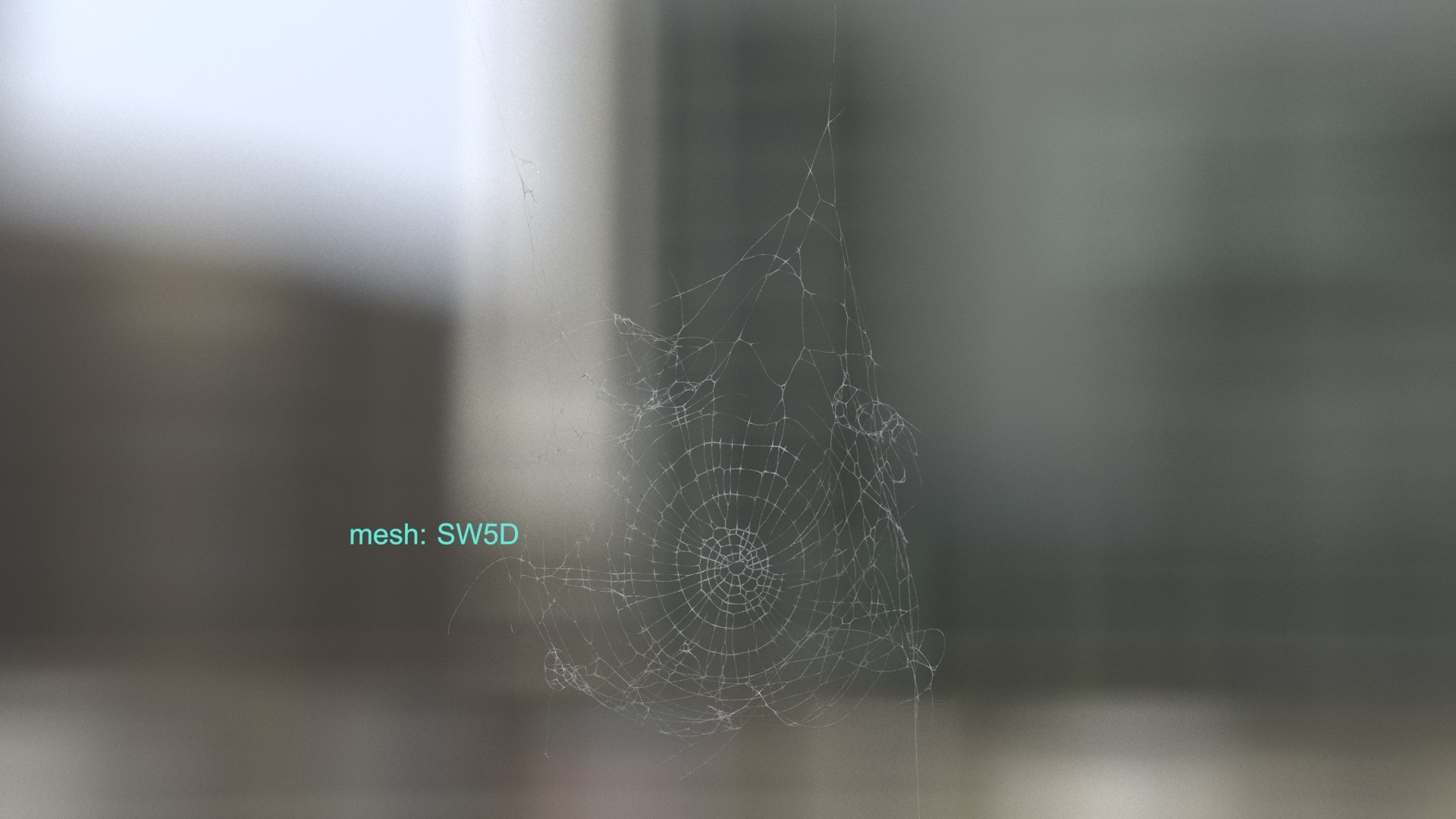 Spider web spiderweb model - TurboSquid 1703493
