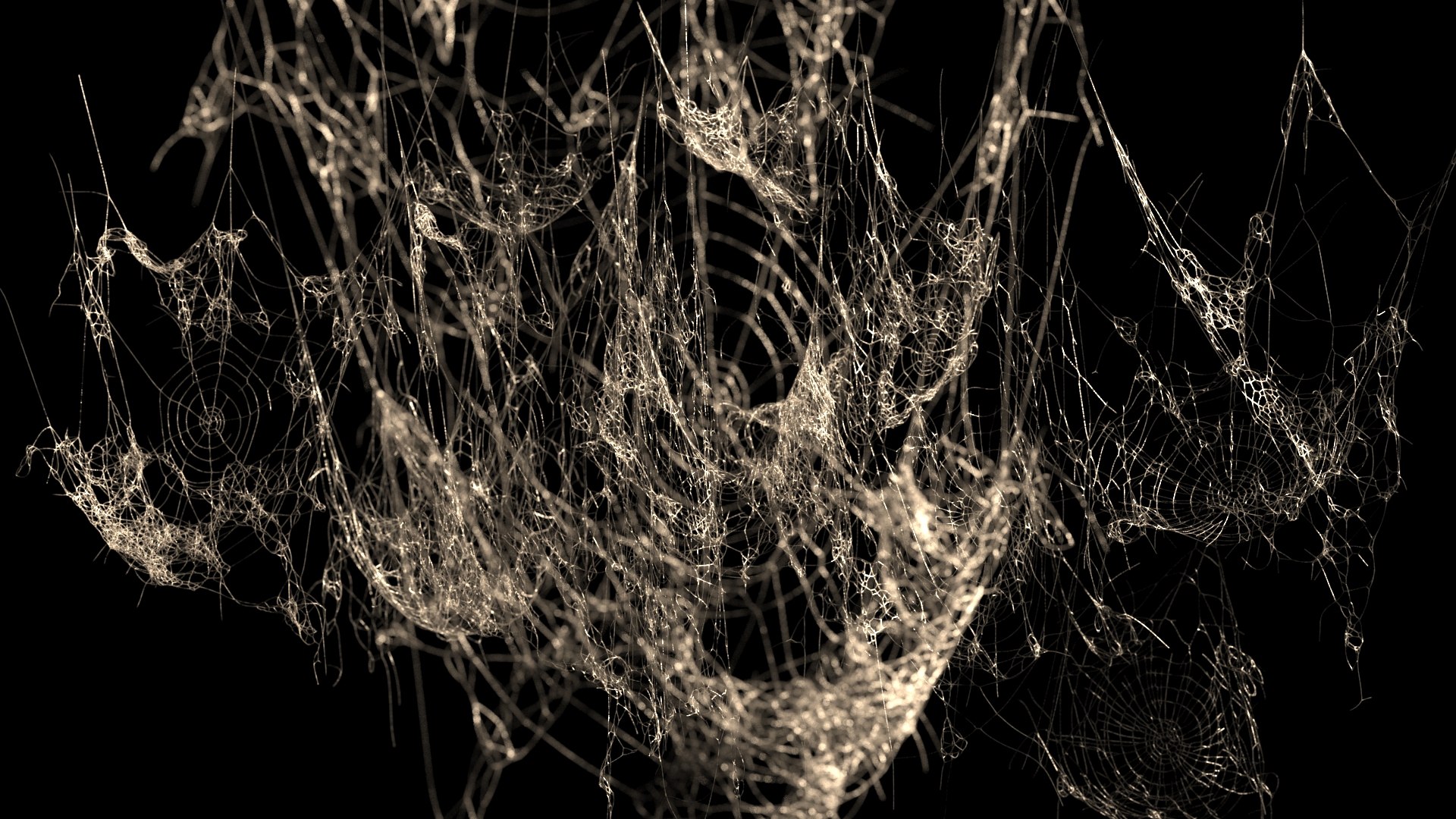 3D Spider Web Spiderweb Model - TurboSquid 1703474