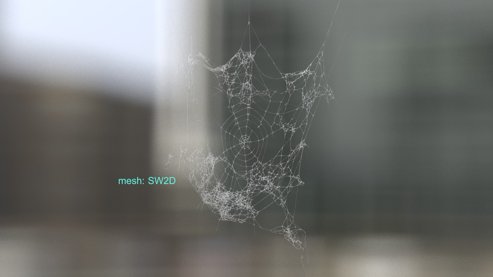 Spider web spiderweb model - TurboSquid 1703493