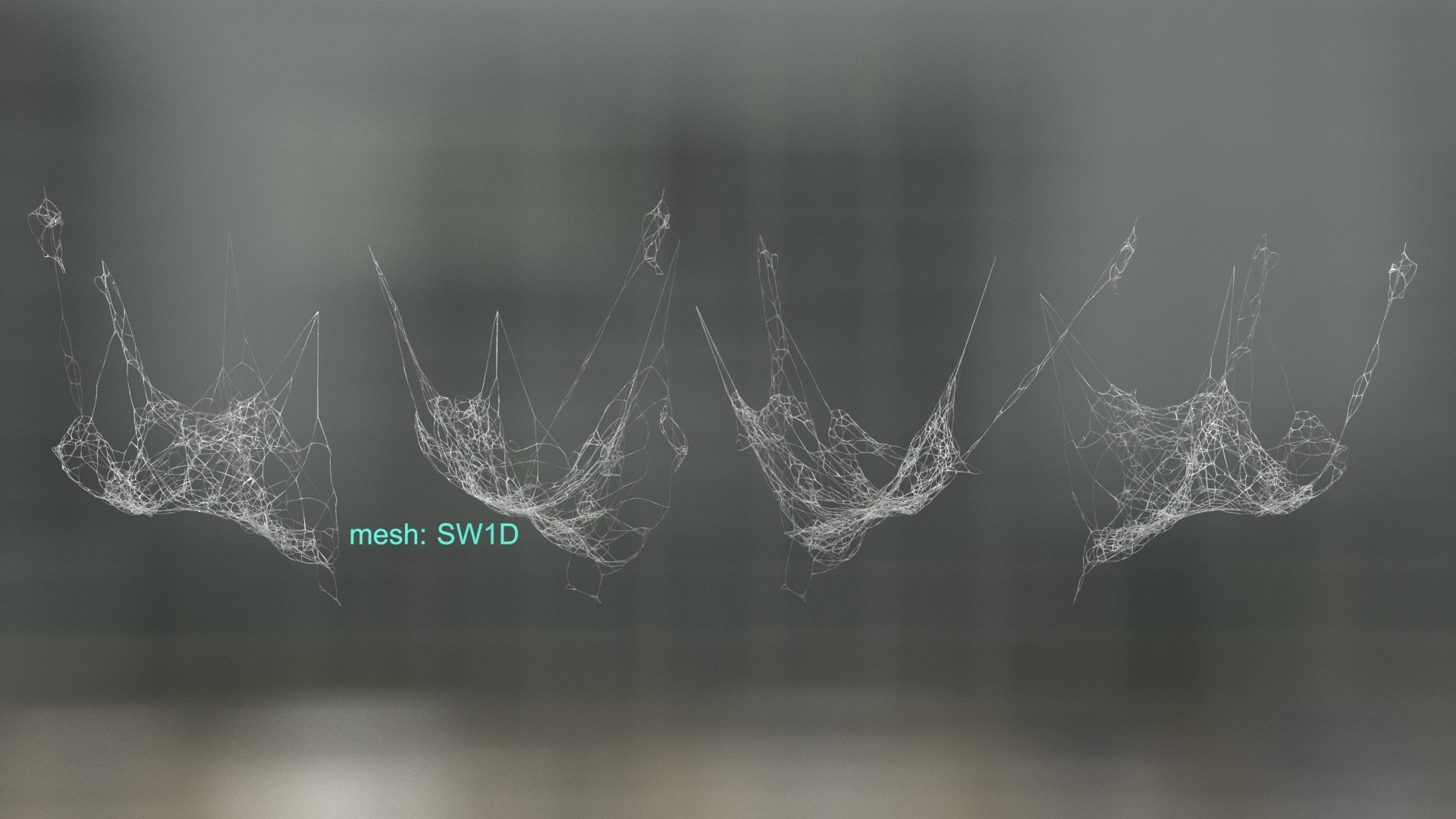 Spider Web Spiderweb Model - TurboSquid 1703493