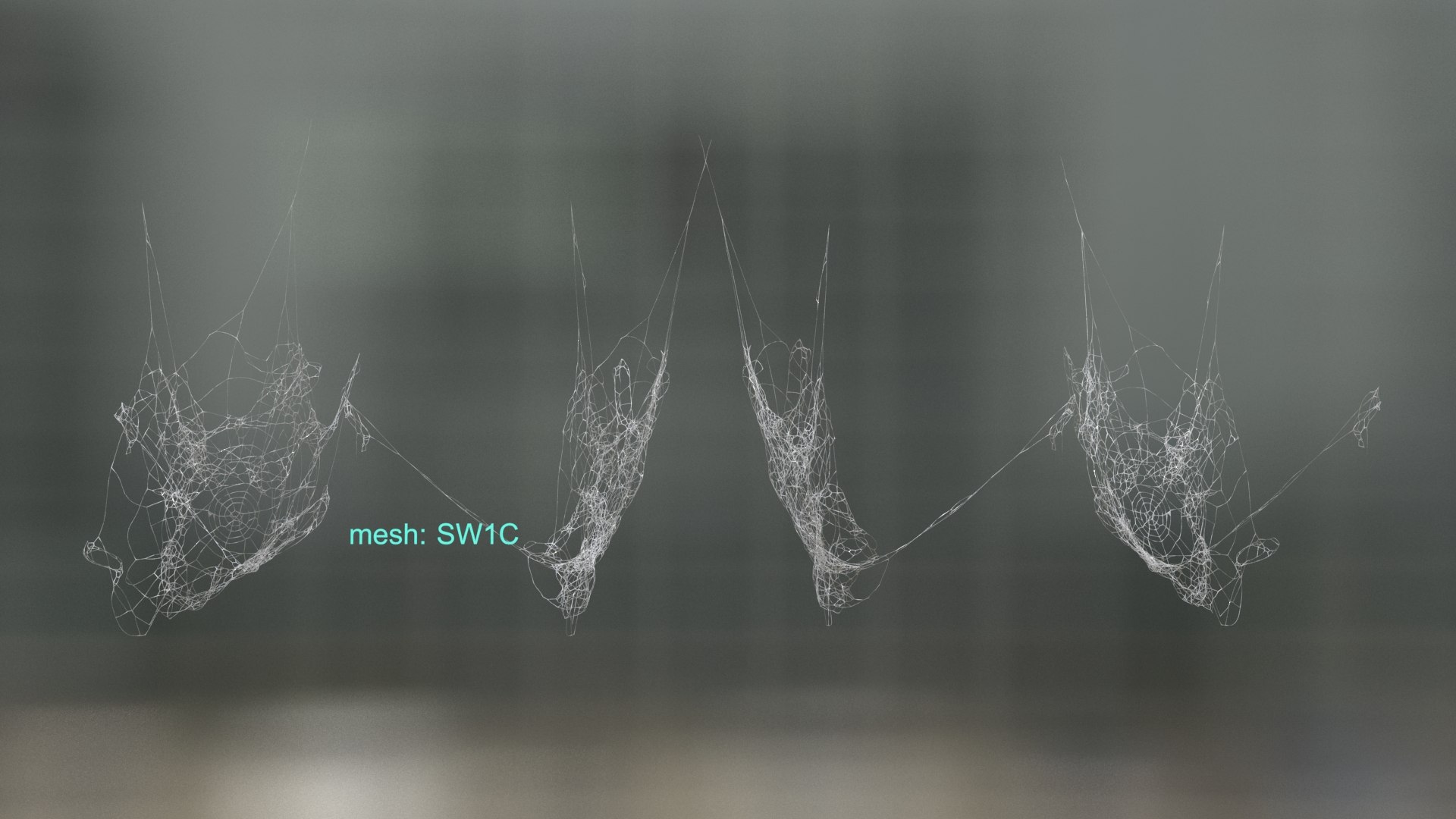 Spider Web Spiderweb Model - TurboSquid 1703493