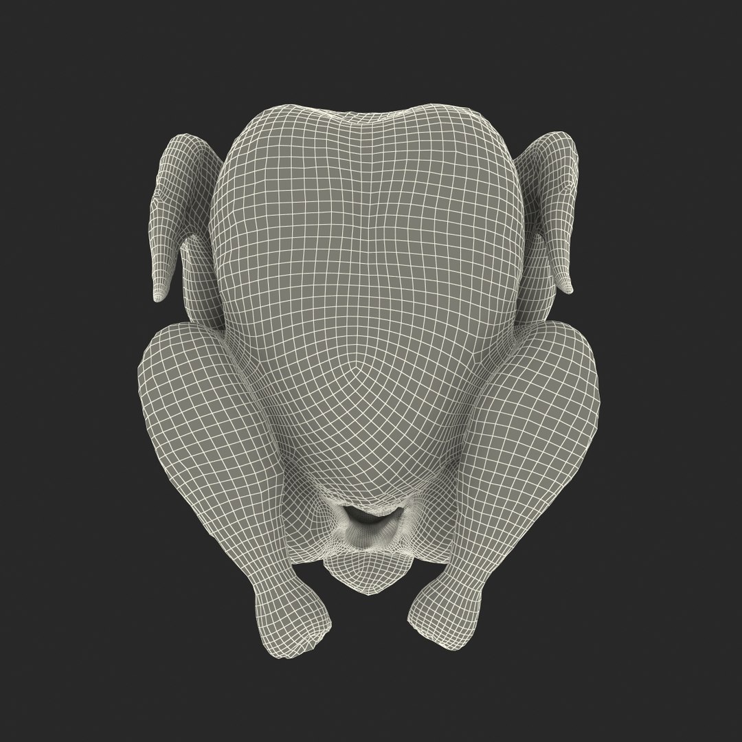 Roasted Turkey Modeled 3d Model