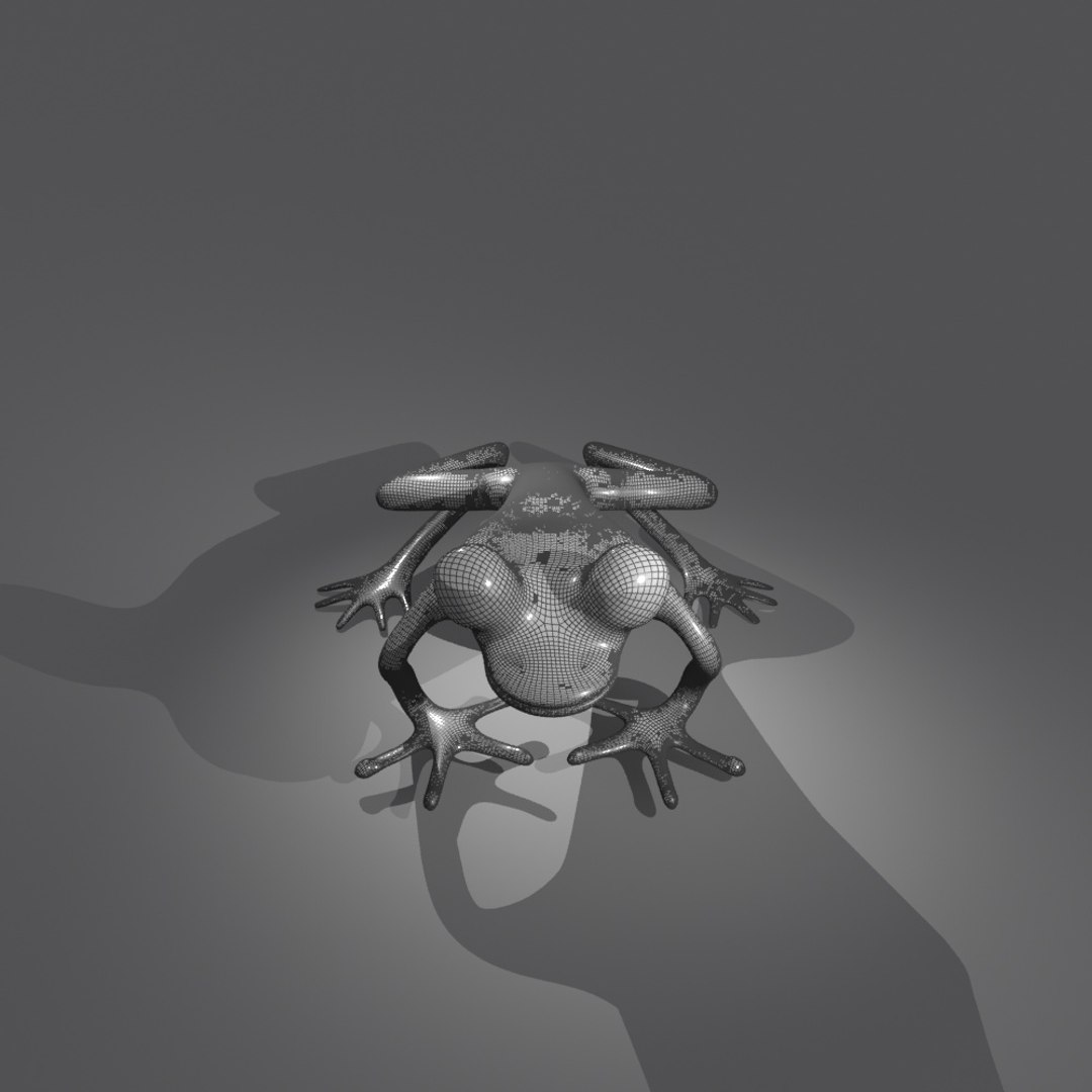 3d Red Eye Frog Model