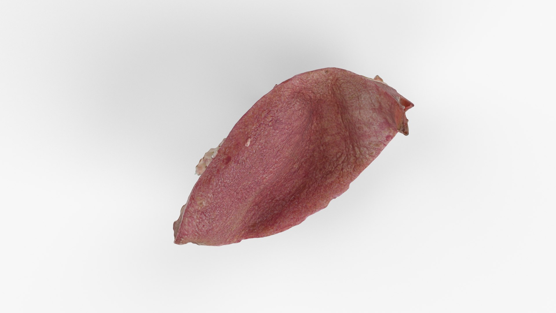 3D Photorealistic 3D Scan Of Pomegranate Skin - TurboSquid 2344533
