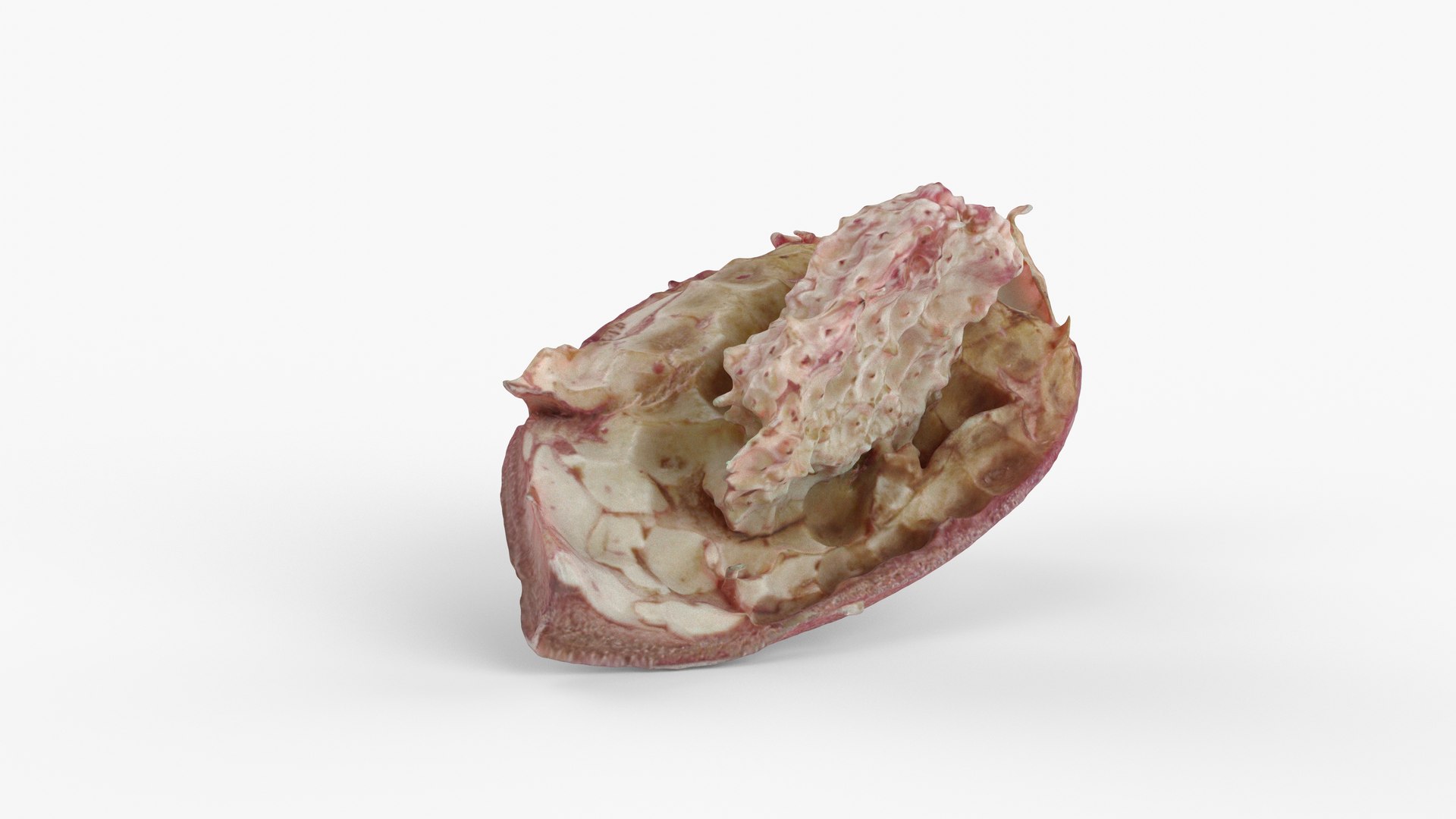 3D Photorealistic 3D Scan Of Pomegranate Skin - TurboSquid 2344533