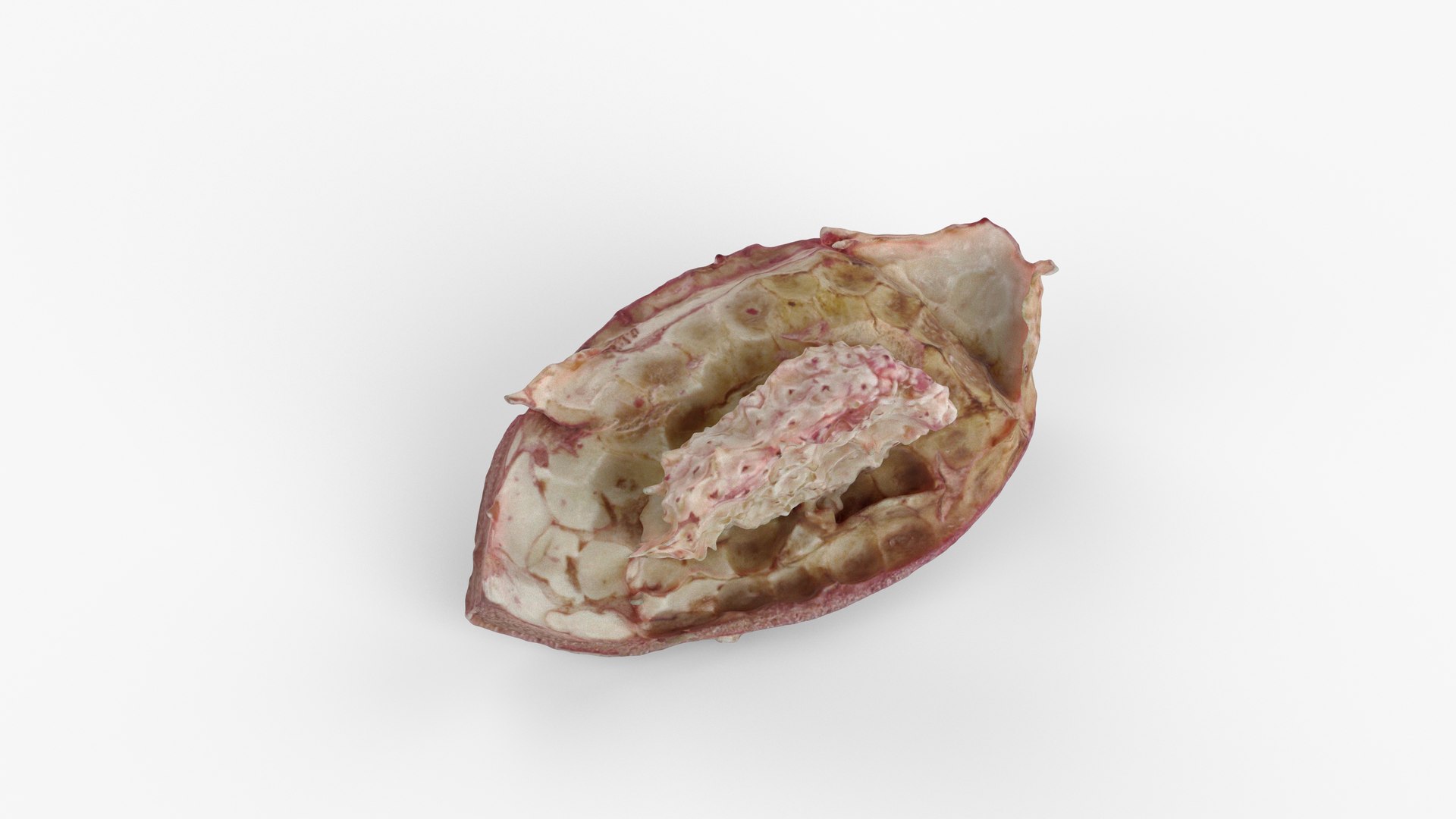3D Photorealistic 3D Scan Of Pomegranate Skin - TurboSquid 2344533