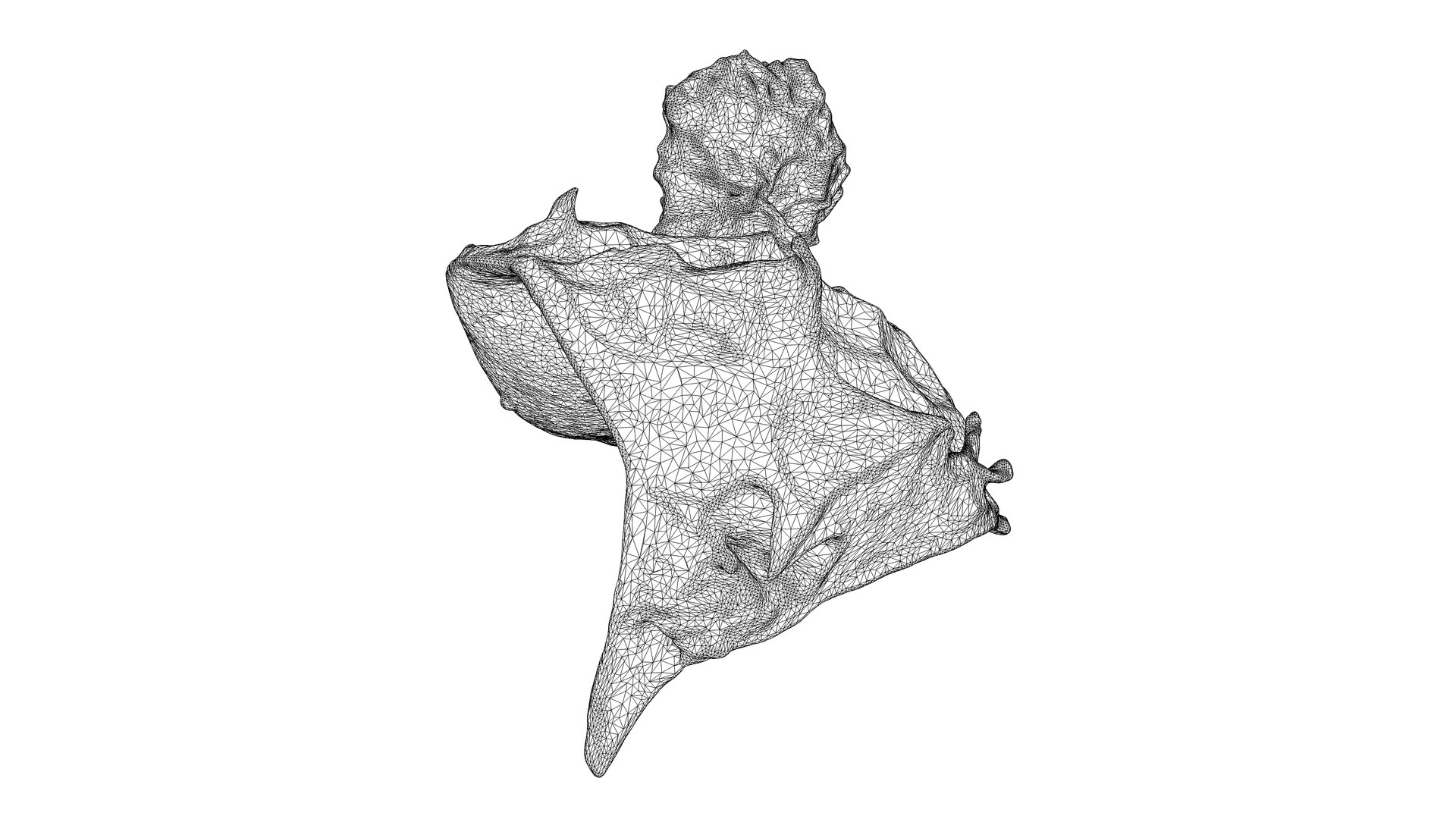 3D Photorealistic 3D Scan Of Pomegranate Skin - TurboSquid 2344533