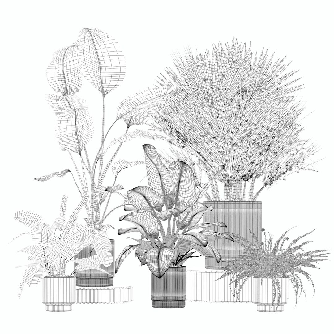3D Model 20 Photorealistic Flowers For Interiors - Set 201 203 207 211 ...