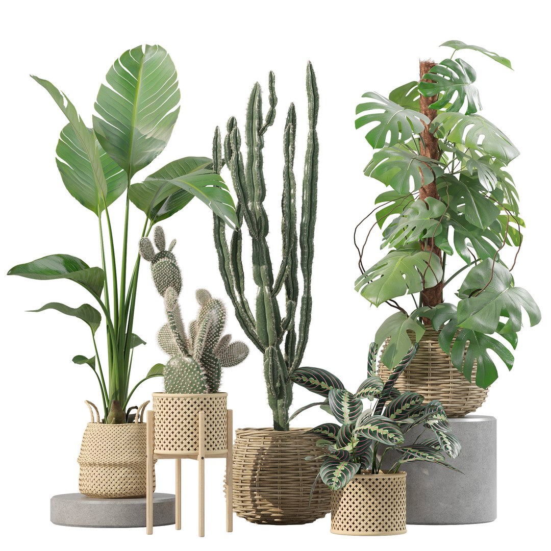 3D Model 20 Photorealistic Flowers For Interiors - Set 201 203 207 211 ...