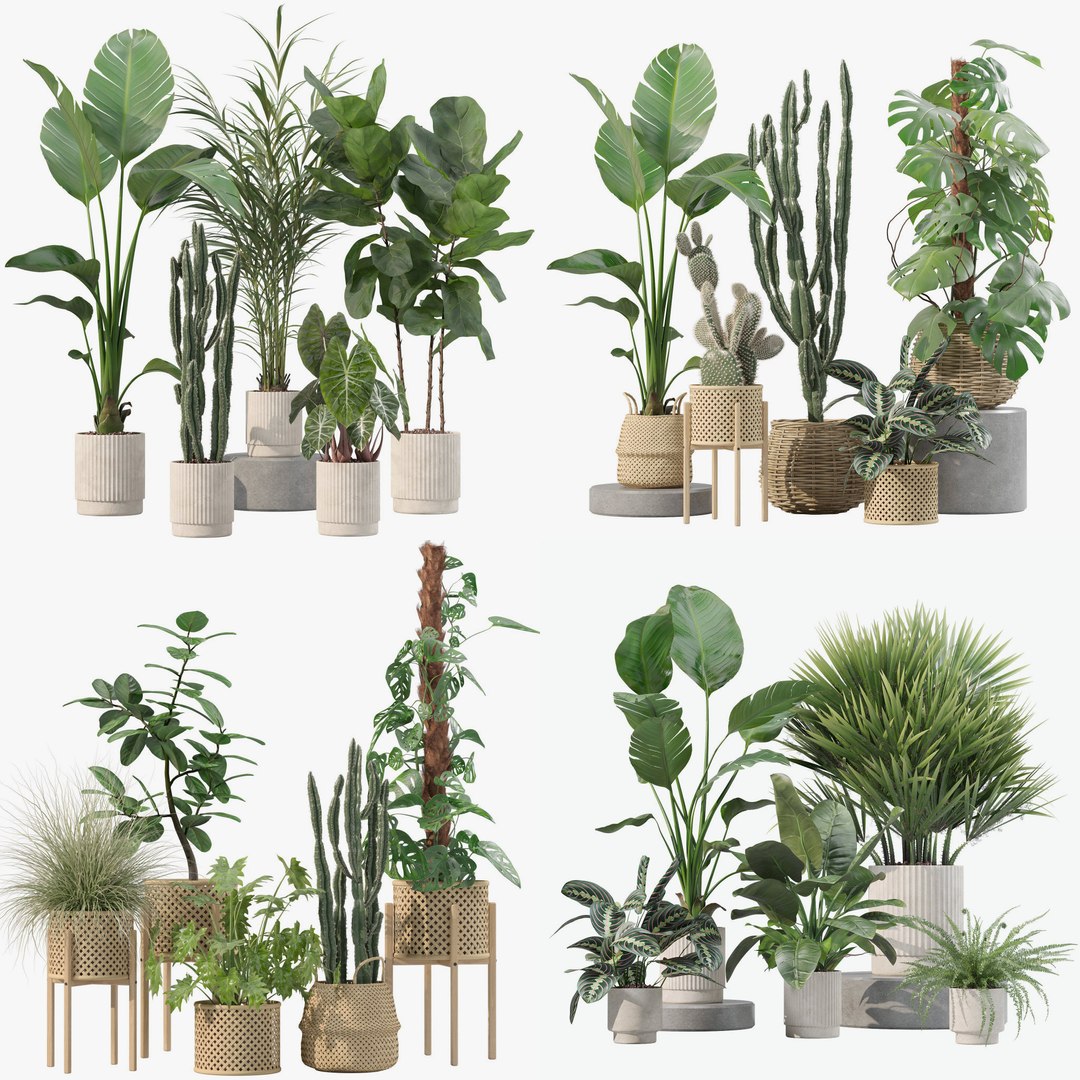 3D Model 20 Photorealistic Flowers For Interiors - Set 201 203 207 211 ...