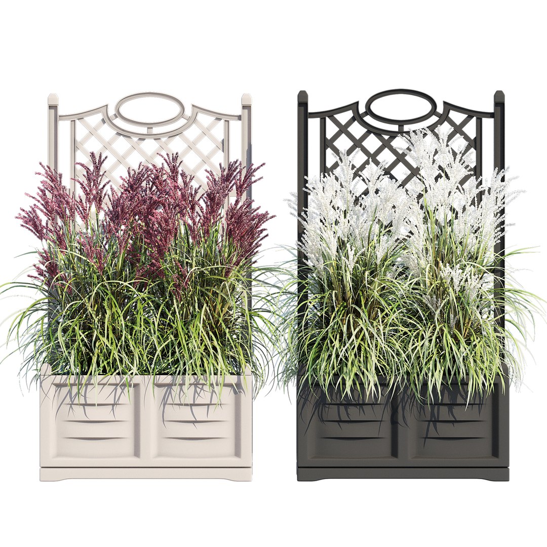 3D Bama with trellis model - TurboSquid 2034823