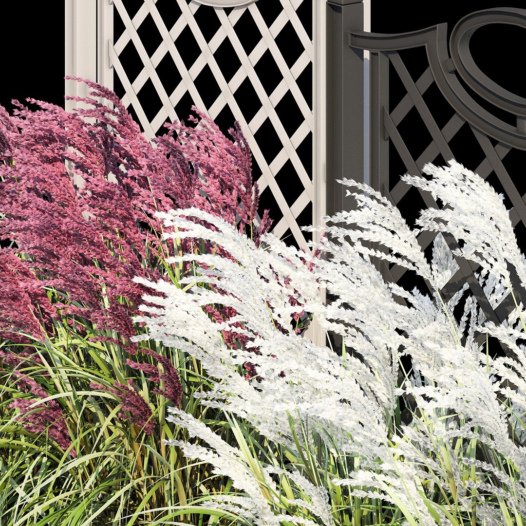 3D Bama with trellis model - TurboSquid 2034823