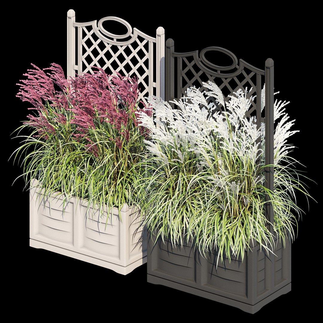 3D Bama with trellis model - TurboSquid 2034823