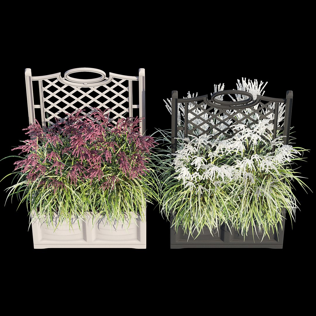 3D Bama with trellis model - TurboSquid 2034823
