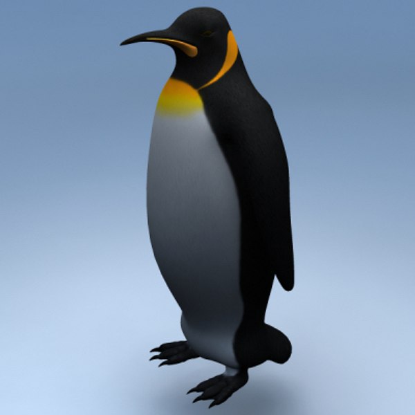 3D Gentoo Models | TurboSquid