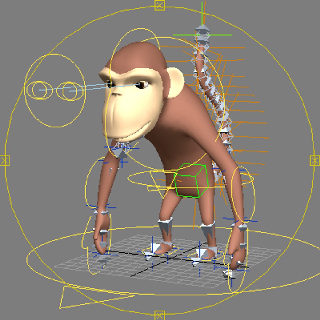 Monkey Animation 3d Model