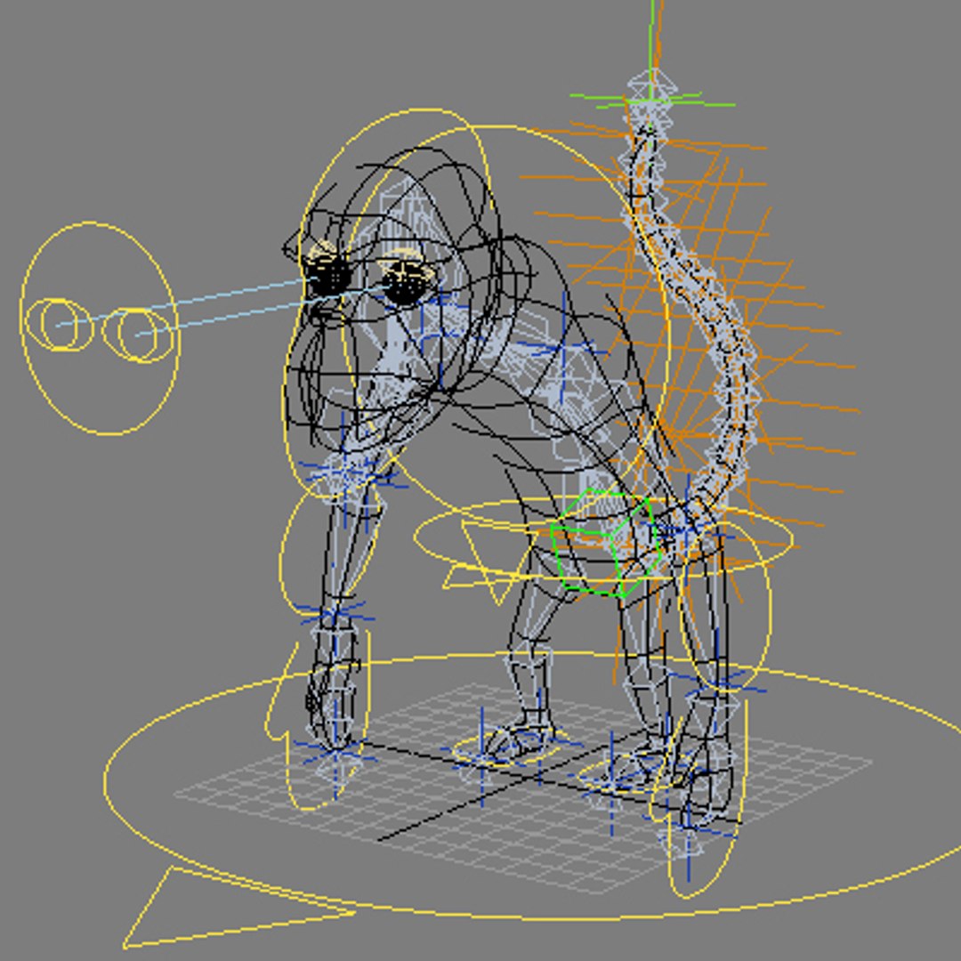 Monkey Animation 3d Model