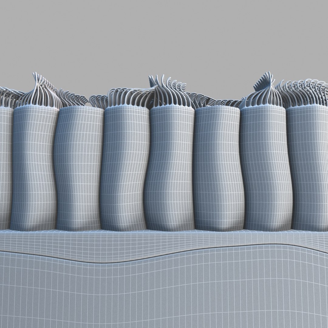 Ciliated Cells 3D Model - TurboSquid 1248083