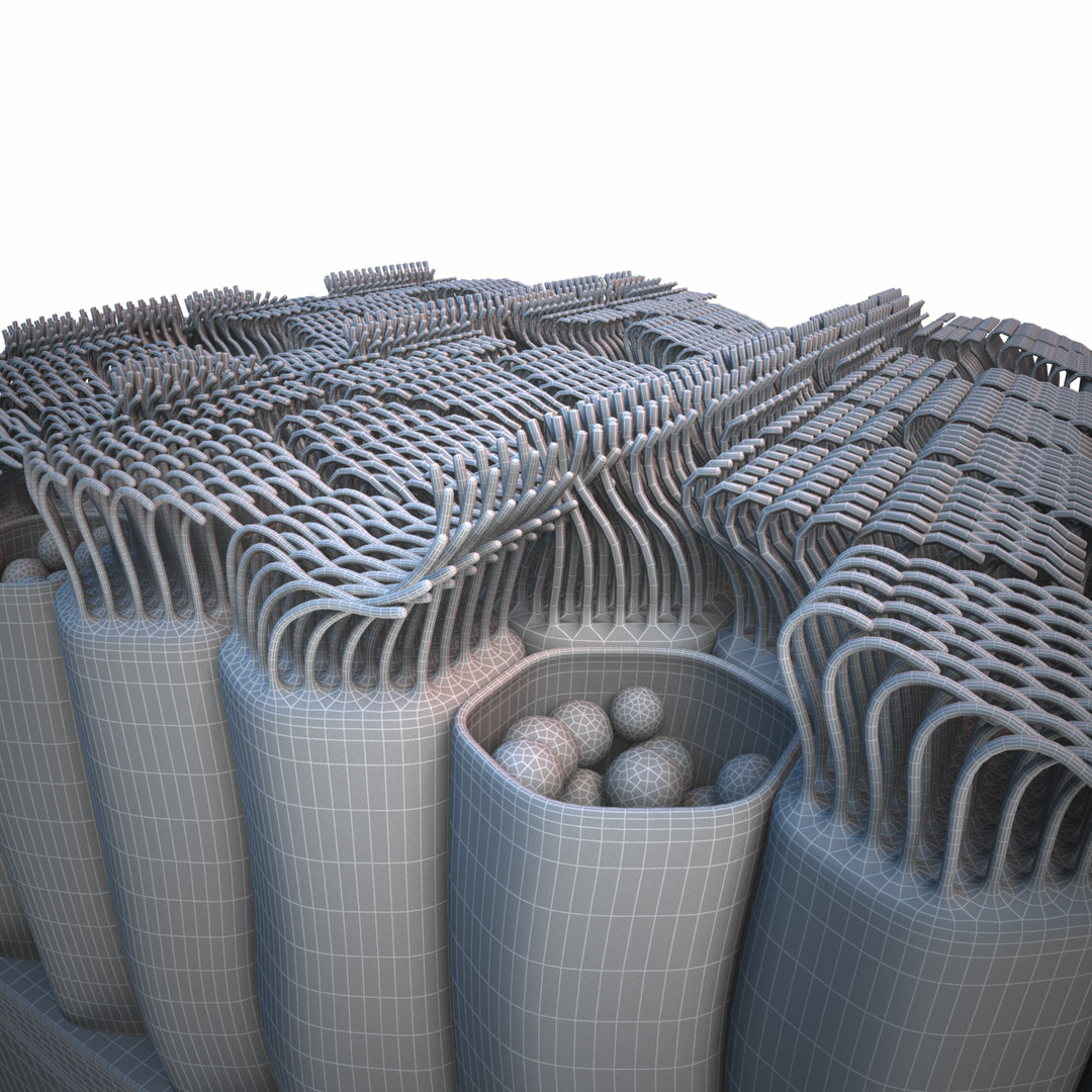 Ciliated Cells 3D Model - TurboSquid 1248083