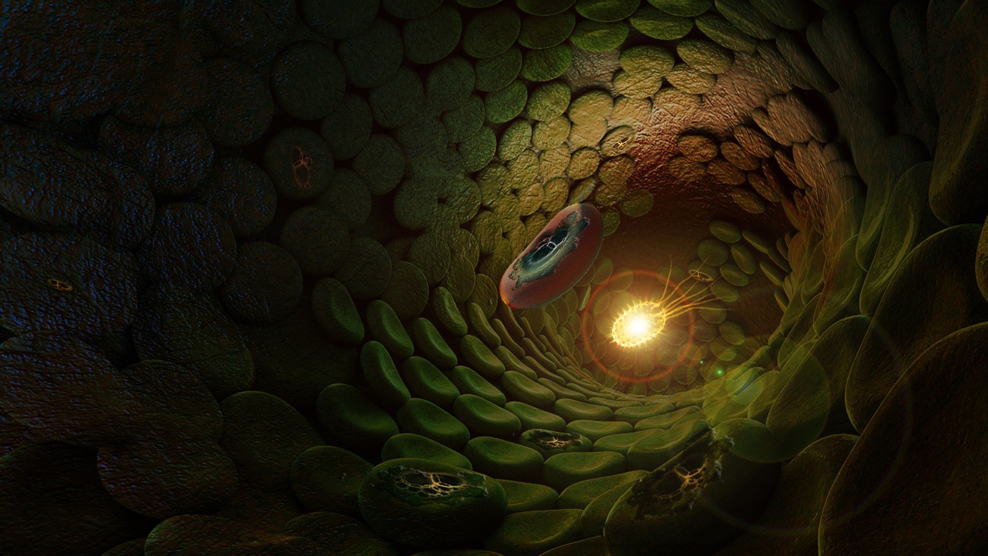 Damage Blood Cells 3d Model