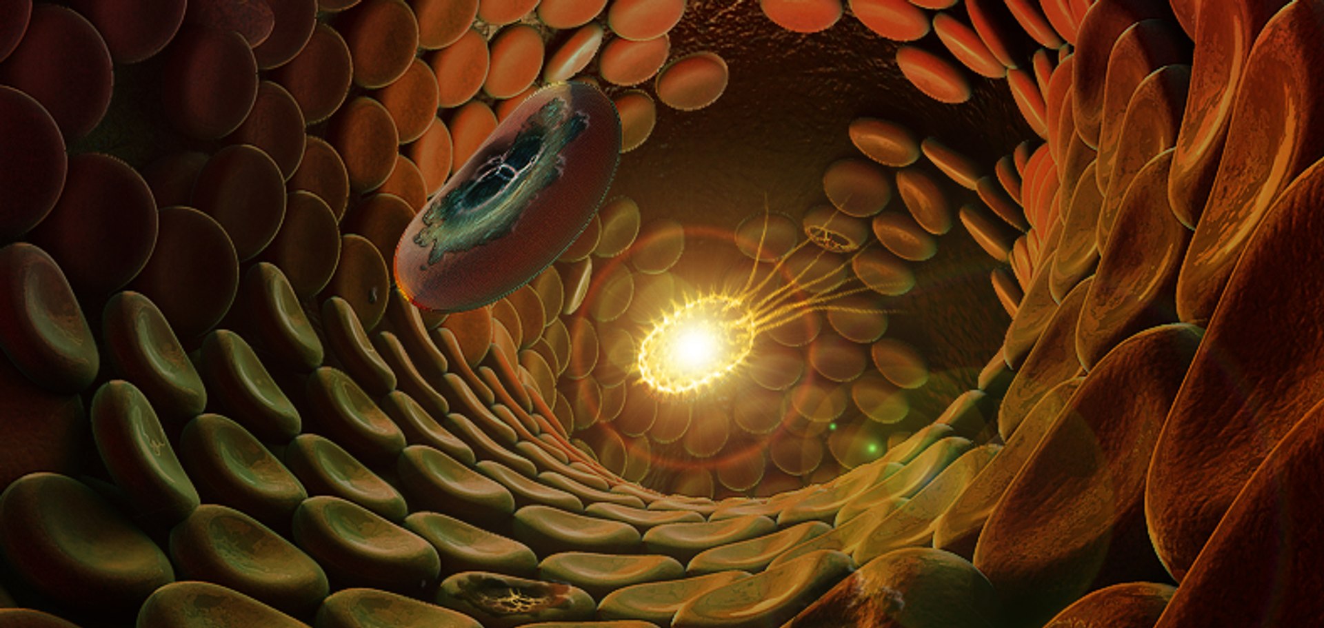 Damage Blood Cells 3d Model